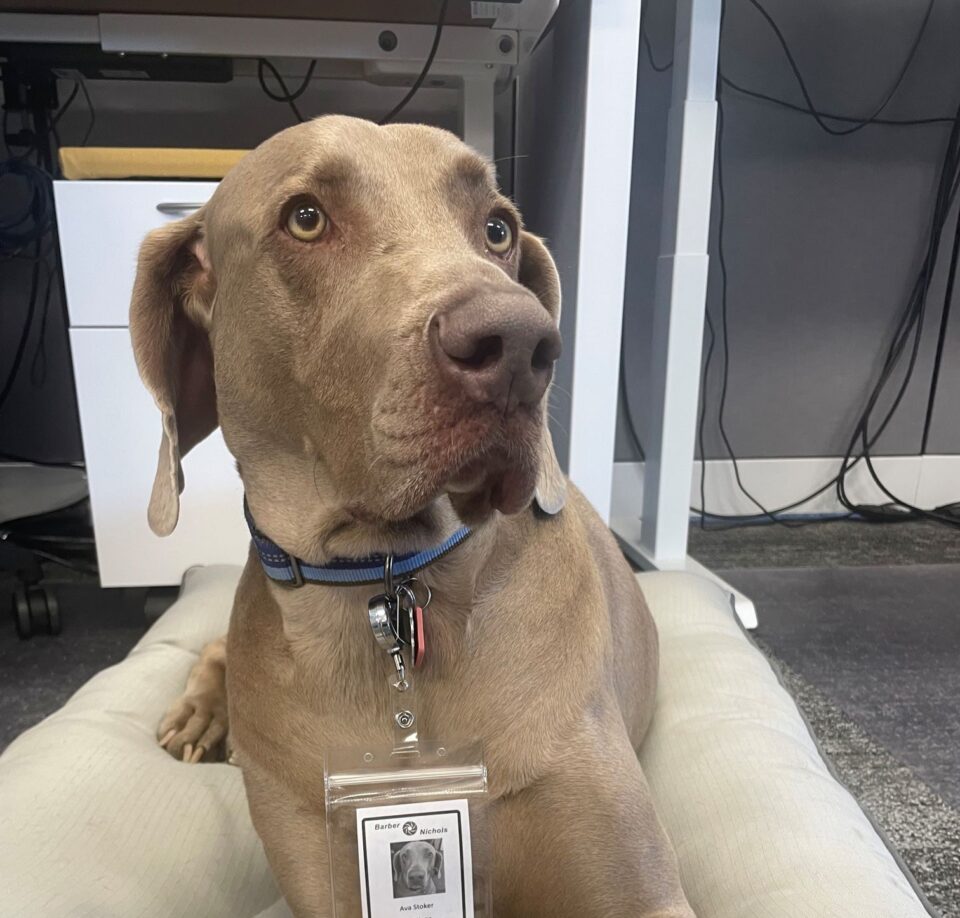 Ava Stoker | Barber-Nichols