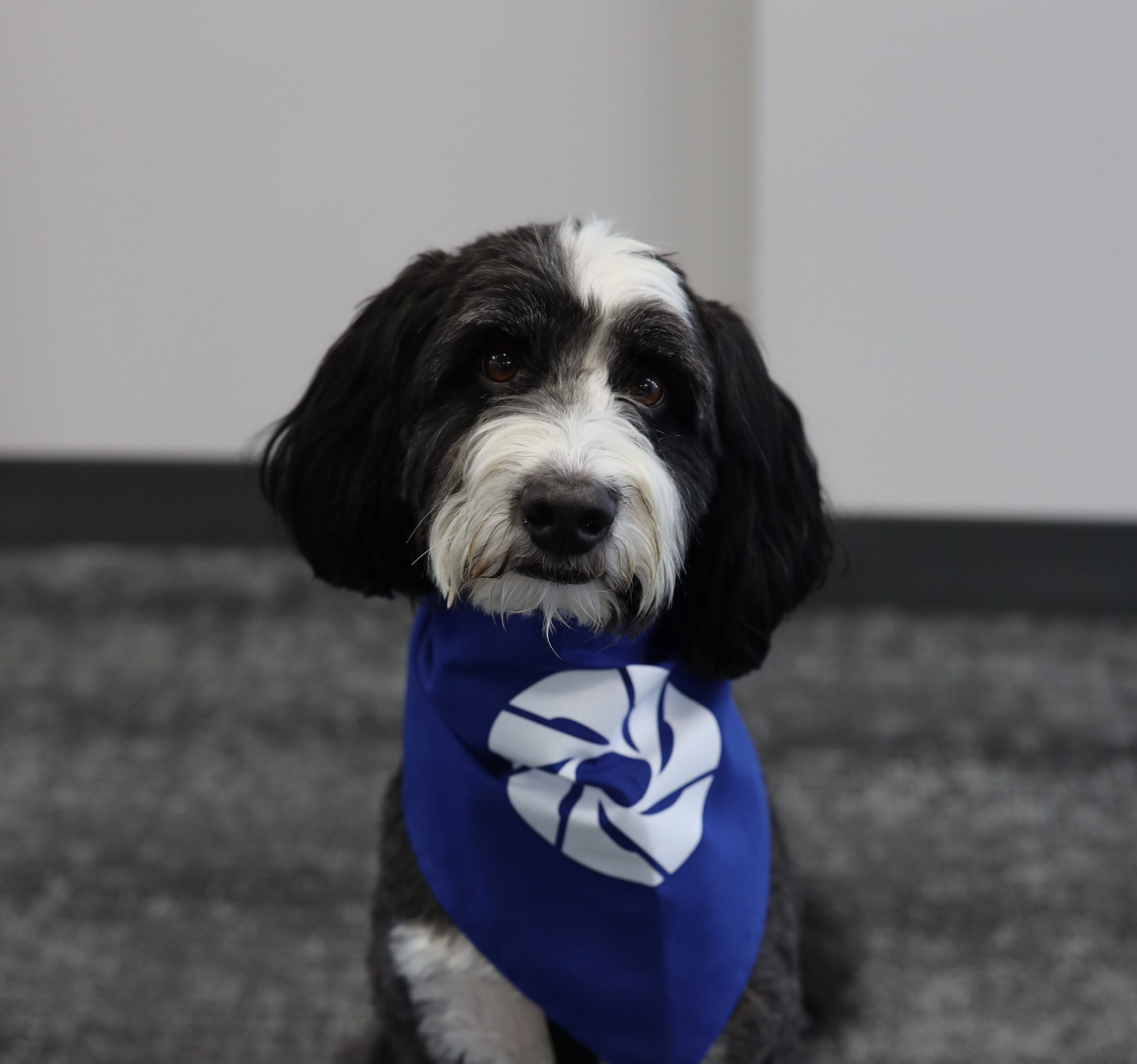 Quinn Marcotte | Barber-Nichols