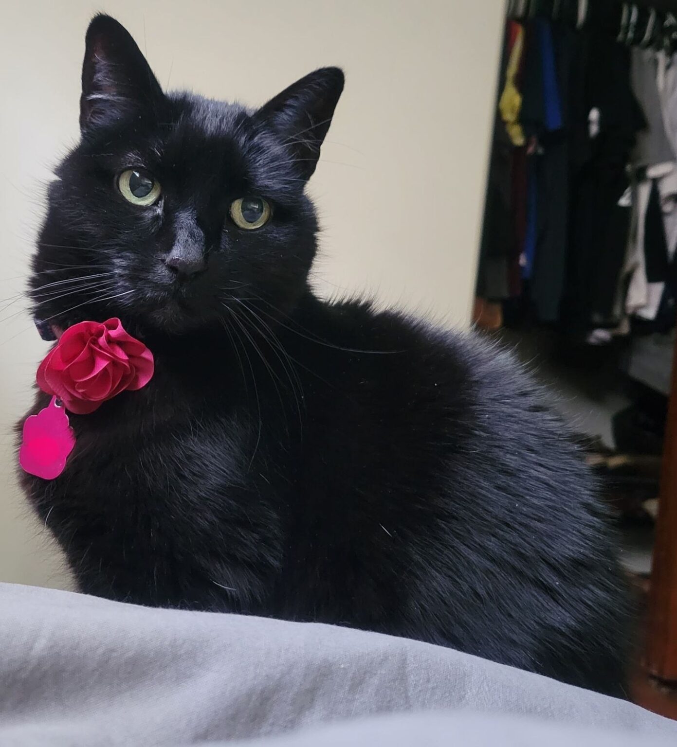 Beatrix Kiddo Atencio | Barber-Nichols