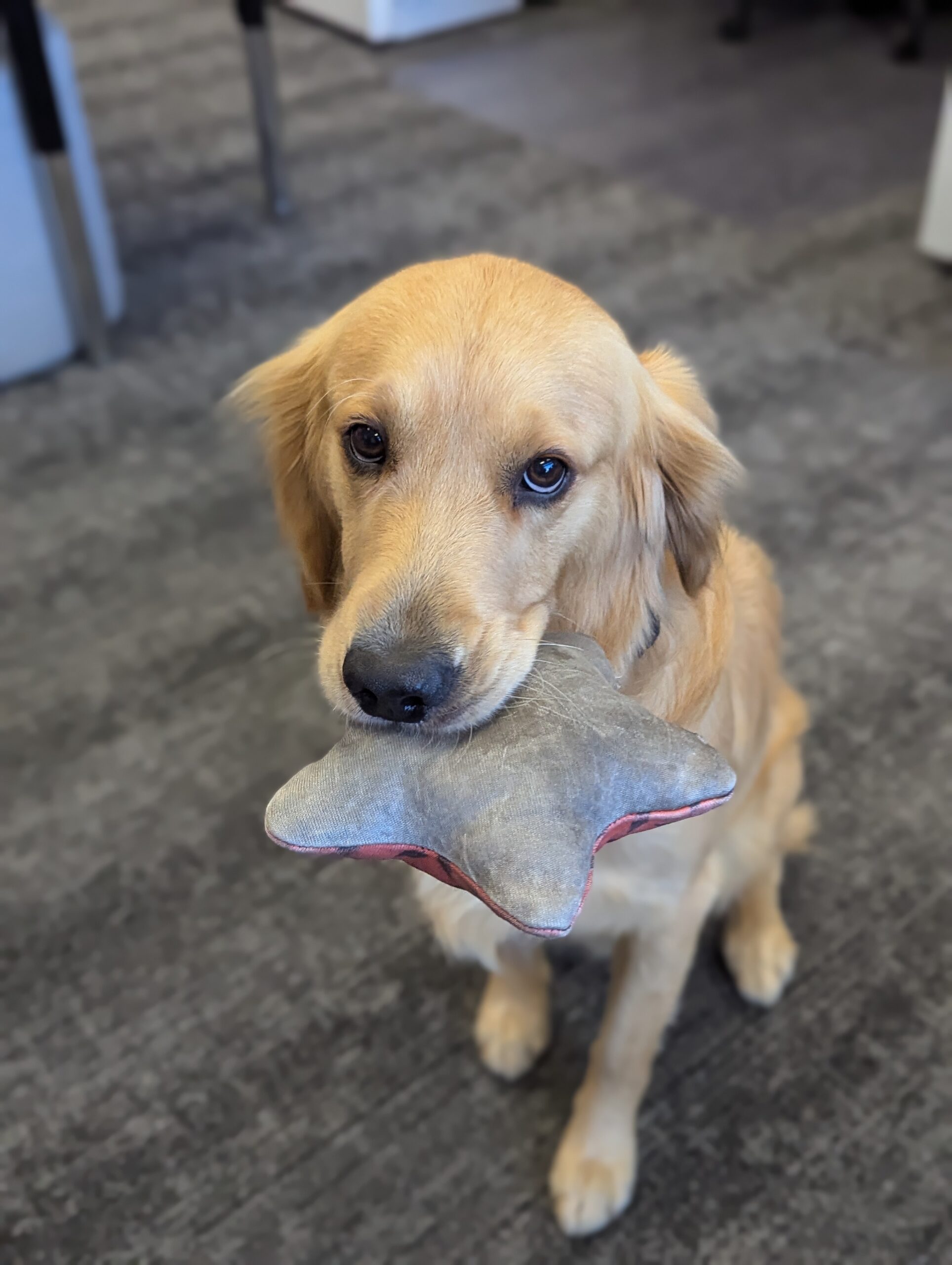 Marvin Brozak | Barber-Nichols