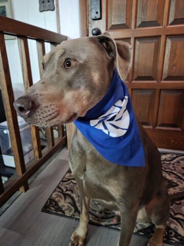 Gunner Woody | Barber-Nichols